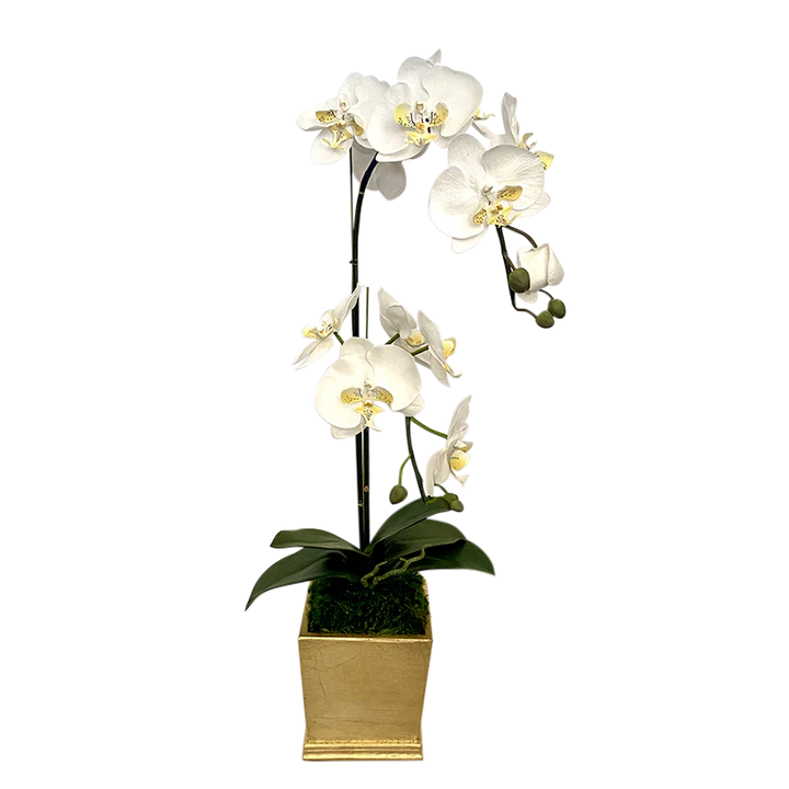 Resin Mini Square Container Gold Leaf - Artificial Double Orchid White ...